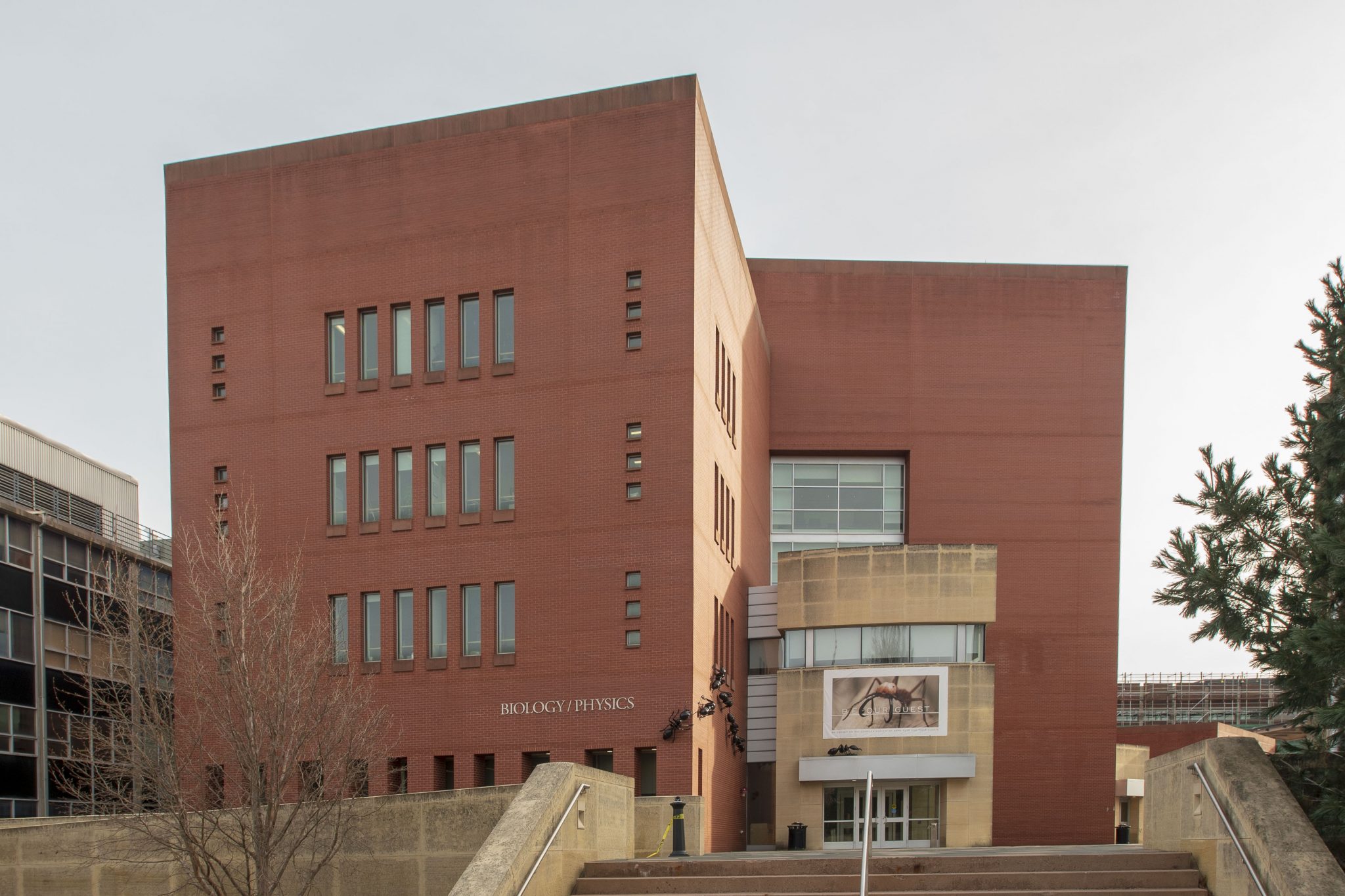 About the Ecology and Evolutionary Biology Department | Ecology and ...